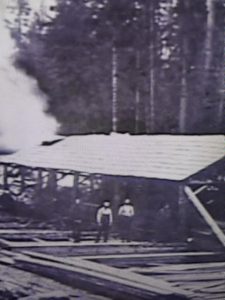 Home - Jorgensen Timber
